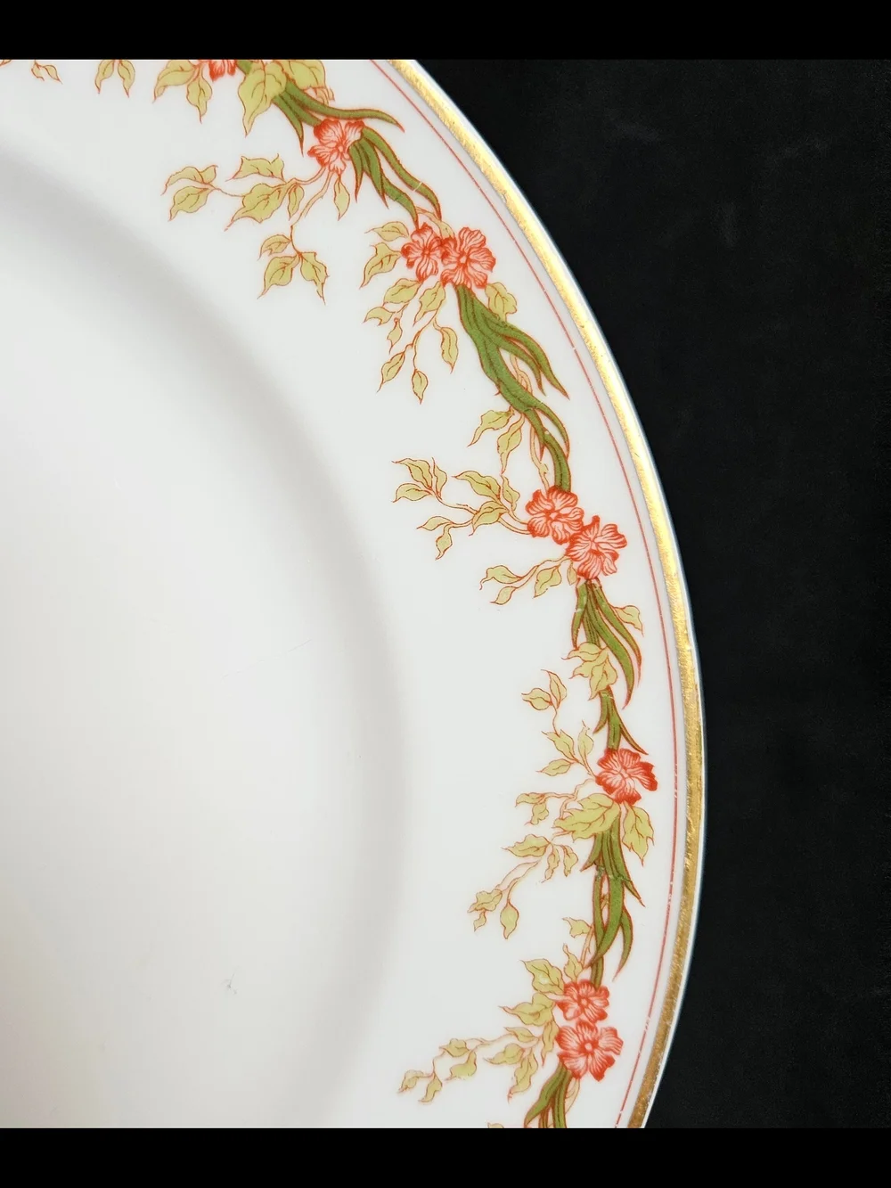 Haviland | Dining | Haviland White Dinner Plates With Coral Floral And ...